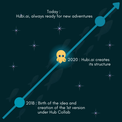 Who are we? - Hubi.ai